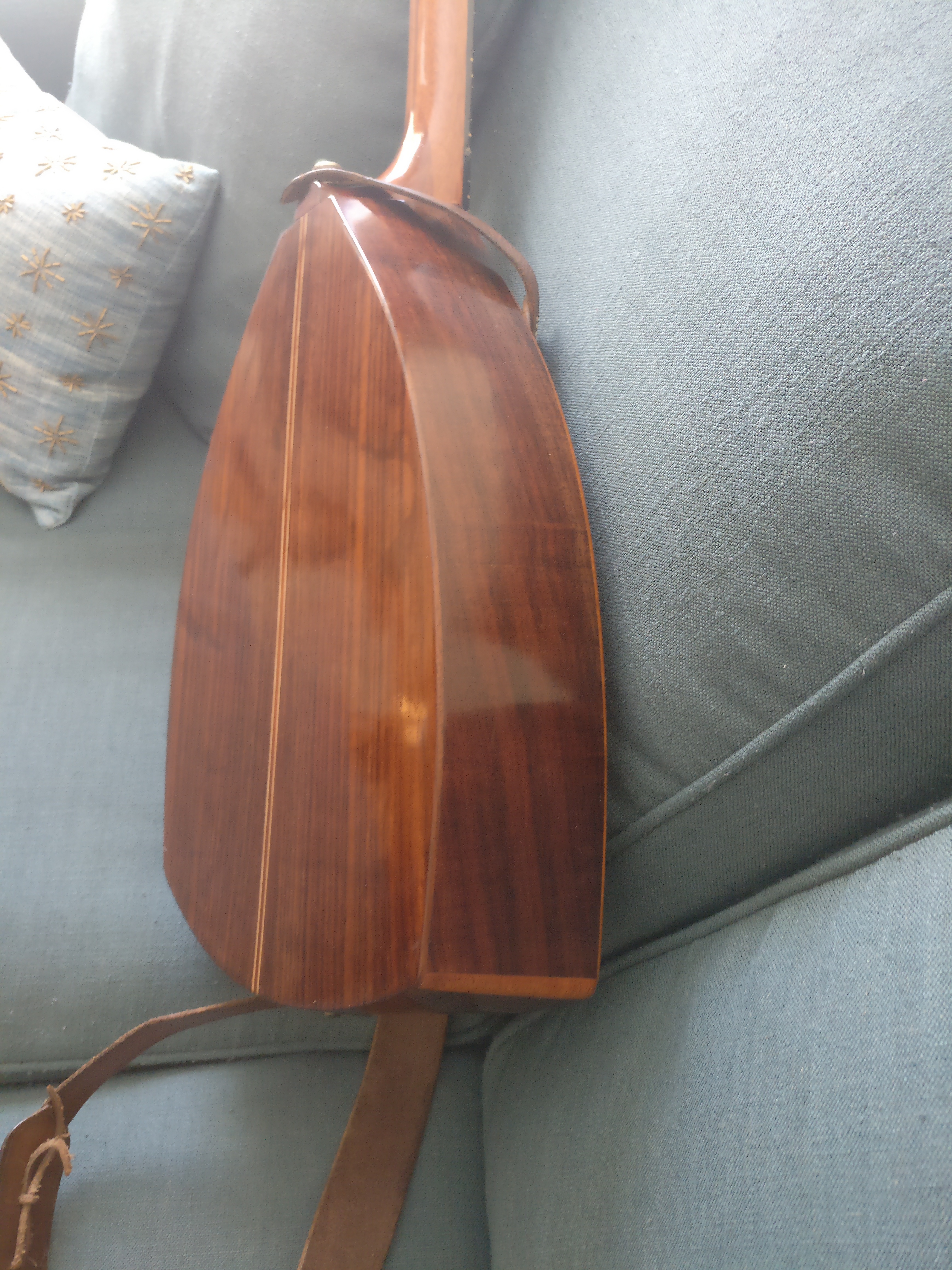 Banjo-lutes, a new construction - Discussion Forums - Banjo Hangout